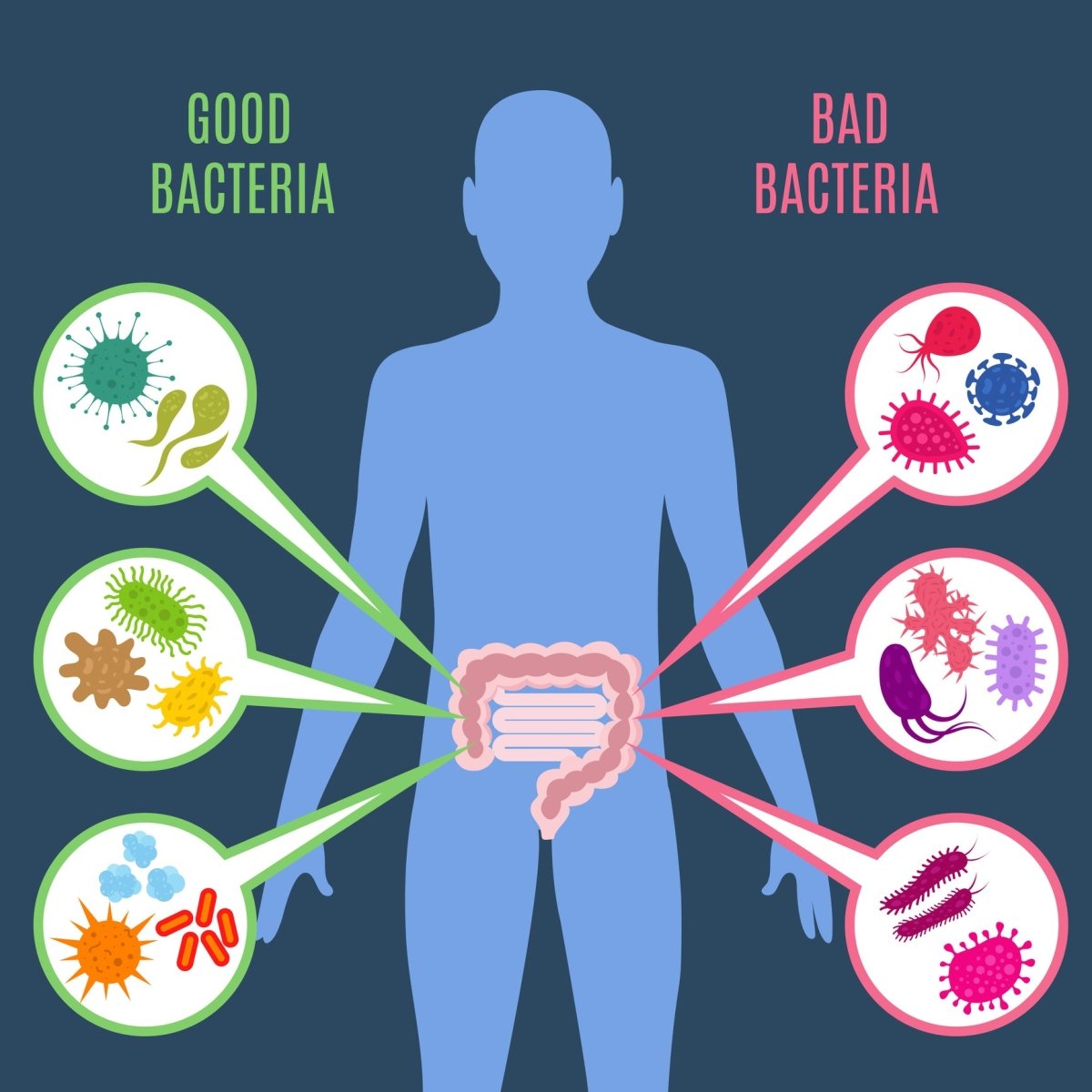 How to Build a Resilient Gut Microbiome - In Brief
